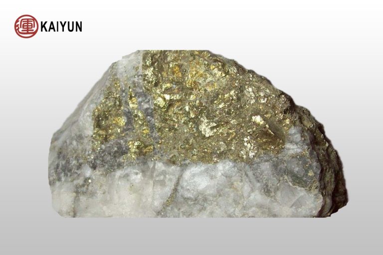 What is the CIP Process in Gold Mining